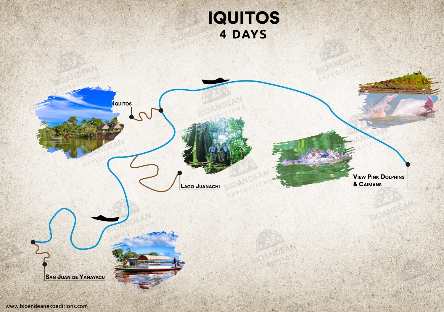 Iquitos amazon jungle - 4D/3N - Bioandean Expeditions
